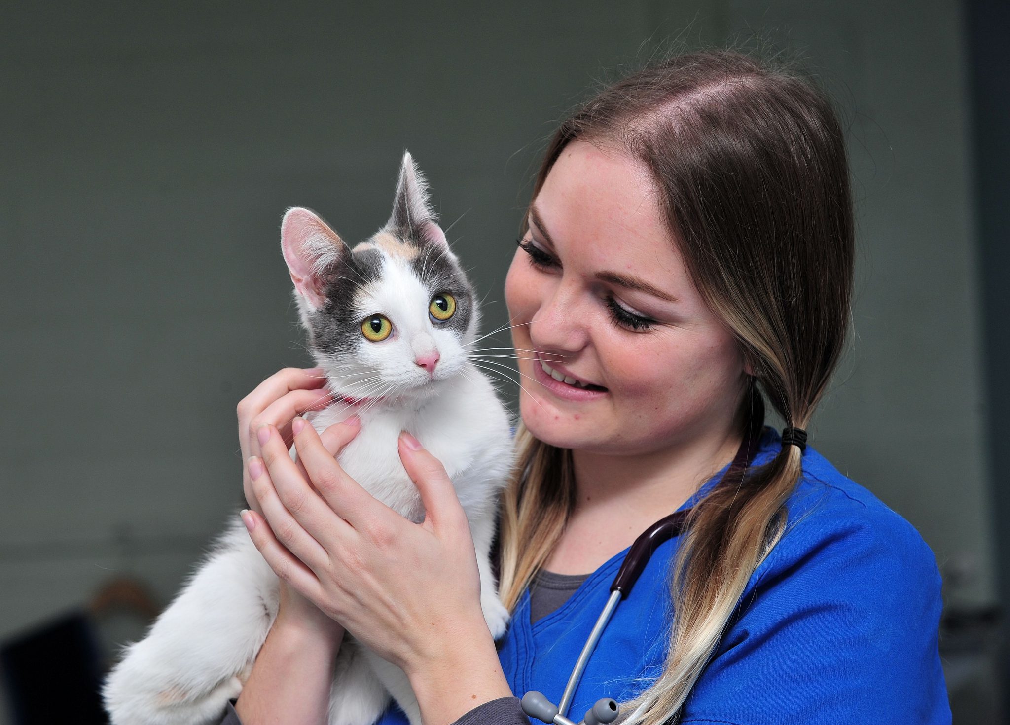 Your Career | VetPartners