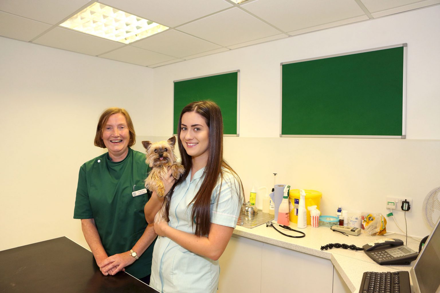 Our bursaries | VetPartners UK