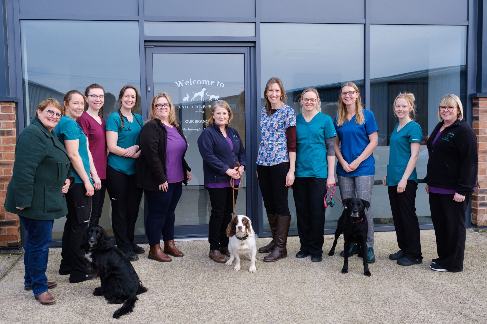 News & Insights | VetPartners UK