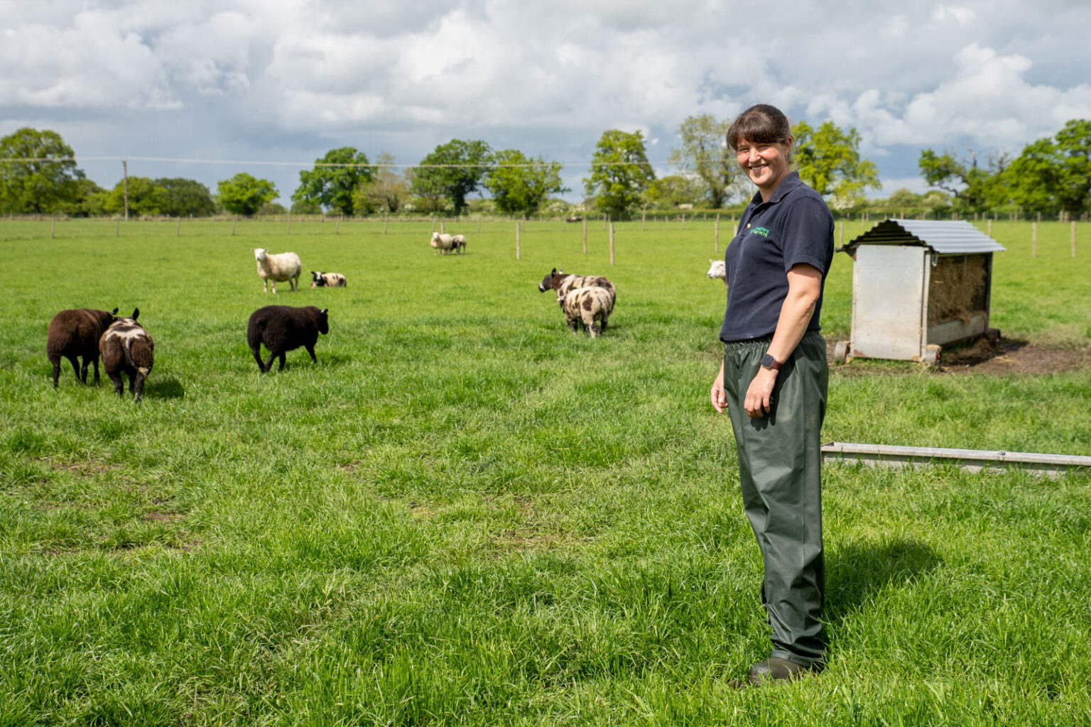Our Farm Veterinary Services | VetPartners