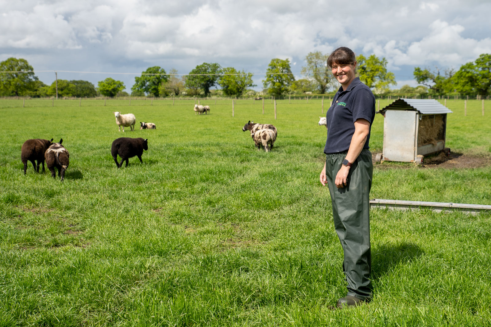 Our Farm Veterinary Services | VetPartners