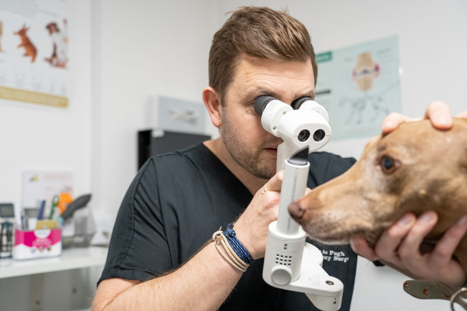 Our Pet Services | VetPartners