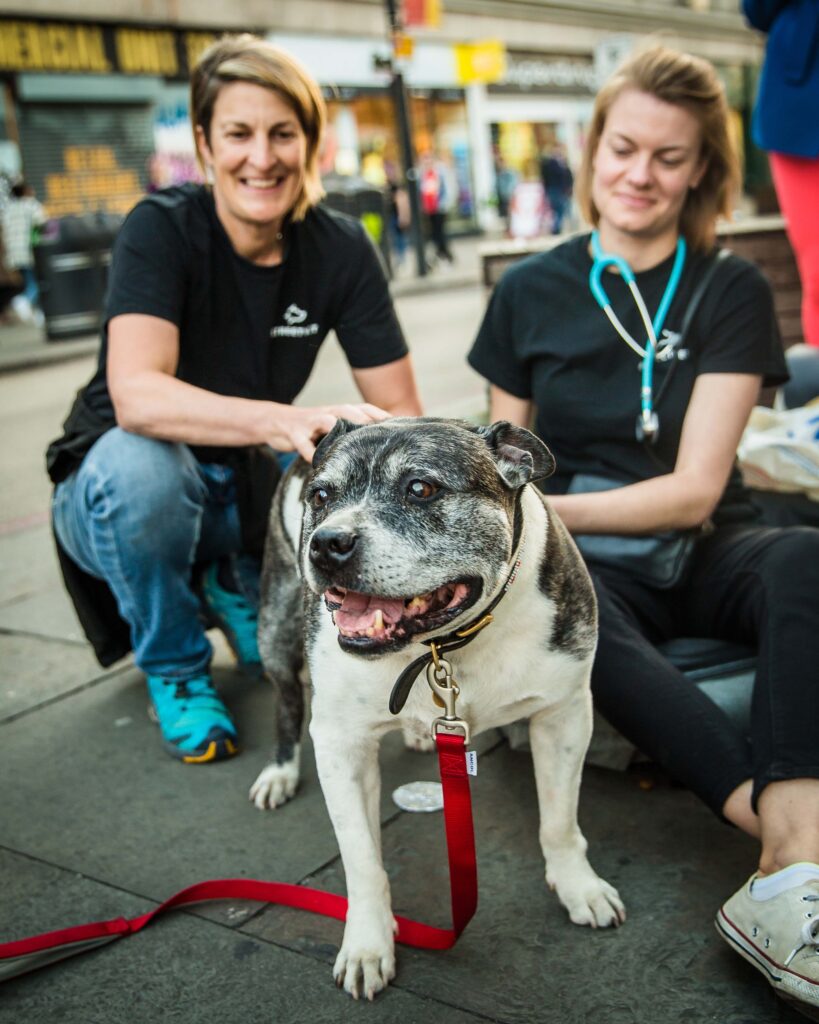 VetPartners' boost to charity helping homeless people and their pets ...