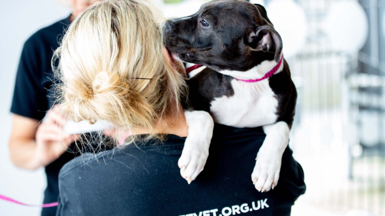VetPartners' boost to charity helping homeless people and their pets ...
