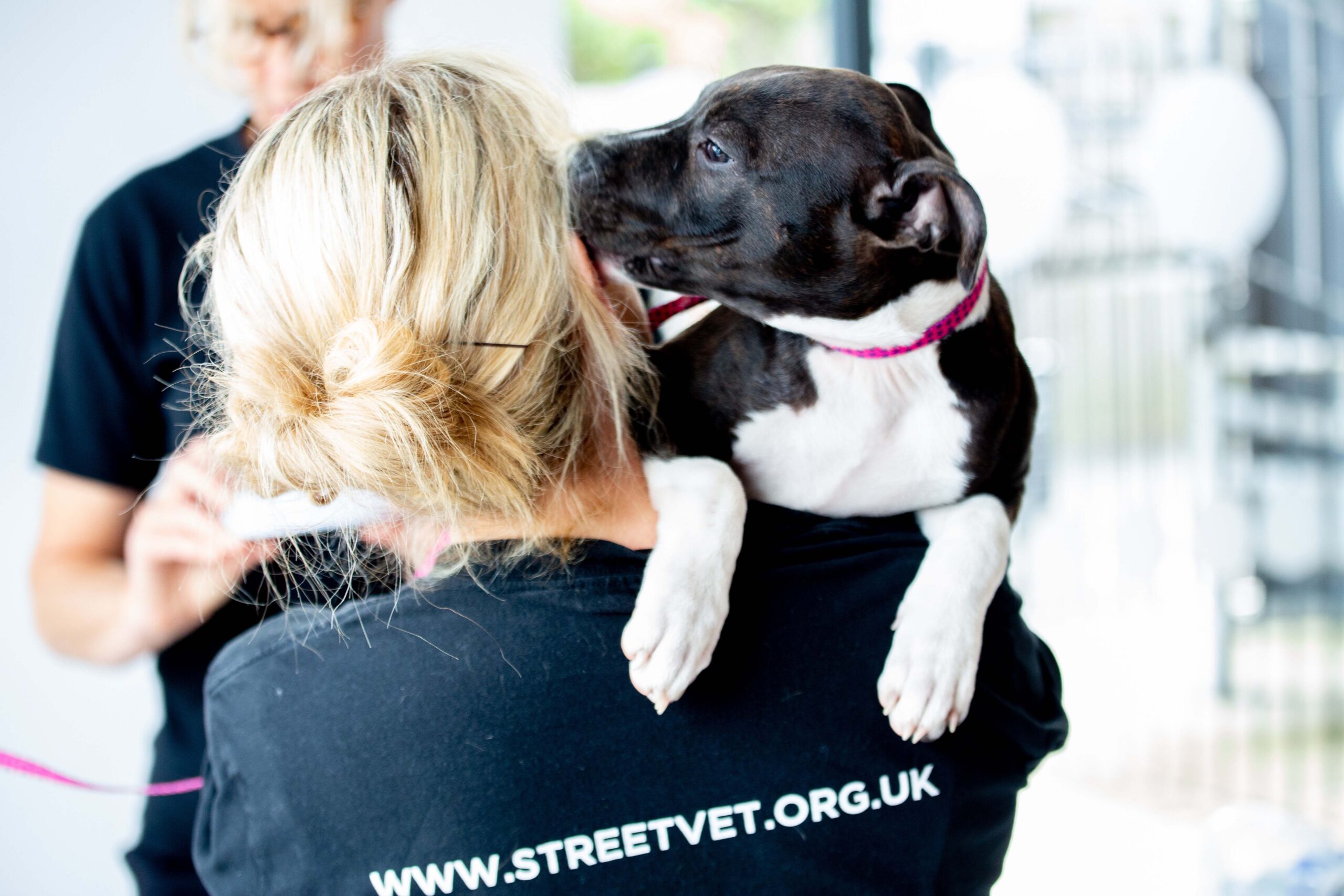 VetPartners' boost to charity helping homeless people and their pets ...