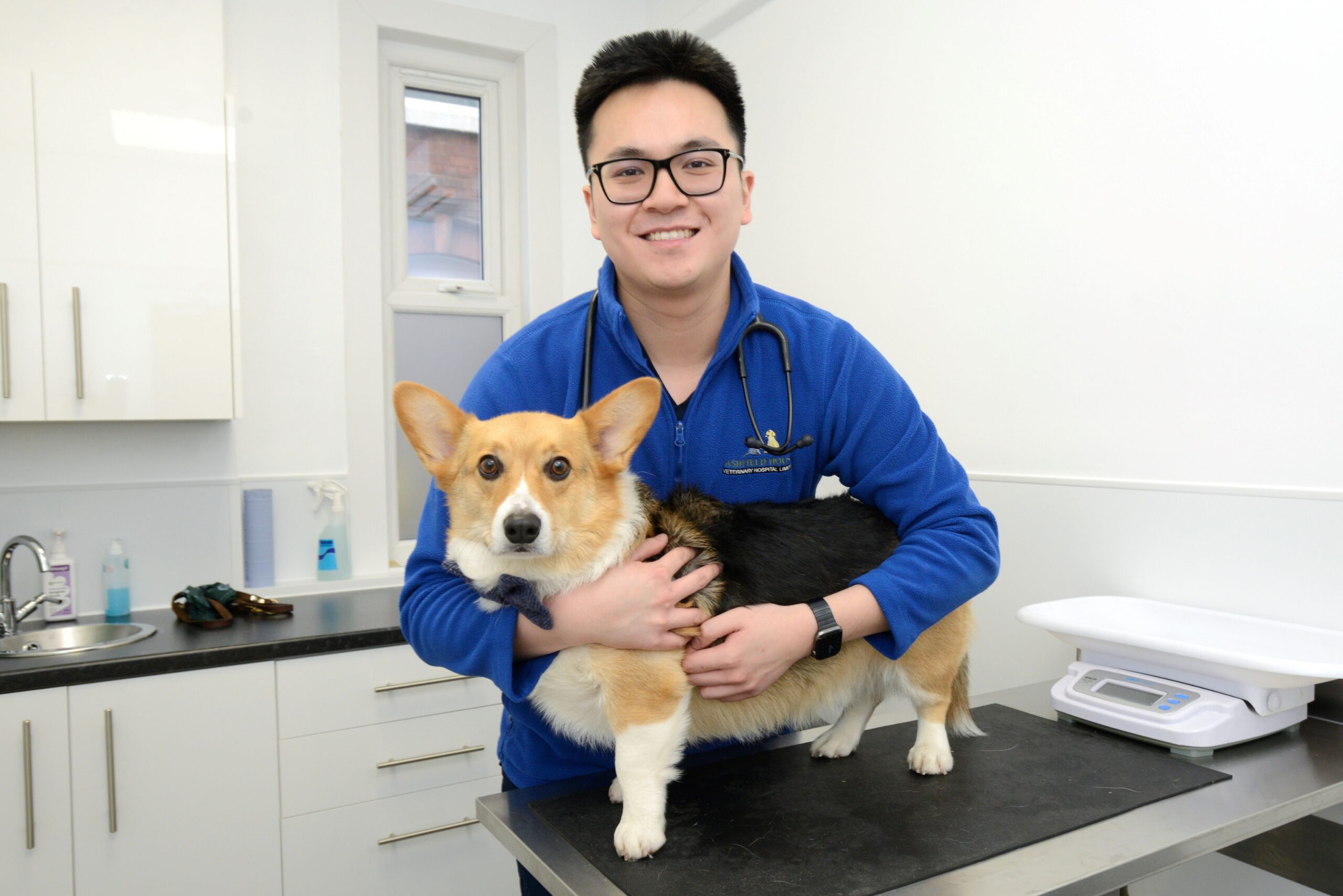 New grad Tim's having a fantastic start to his career - VetPartners UK