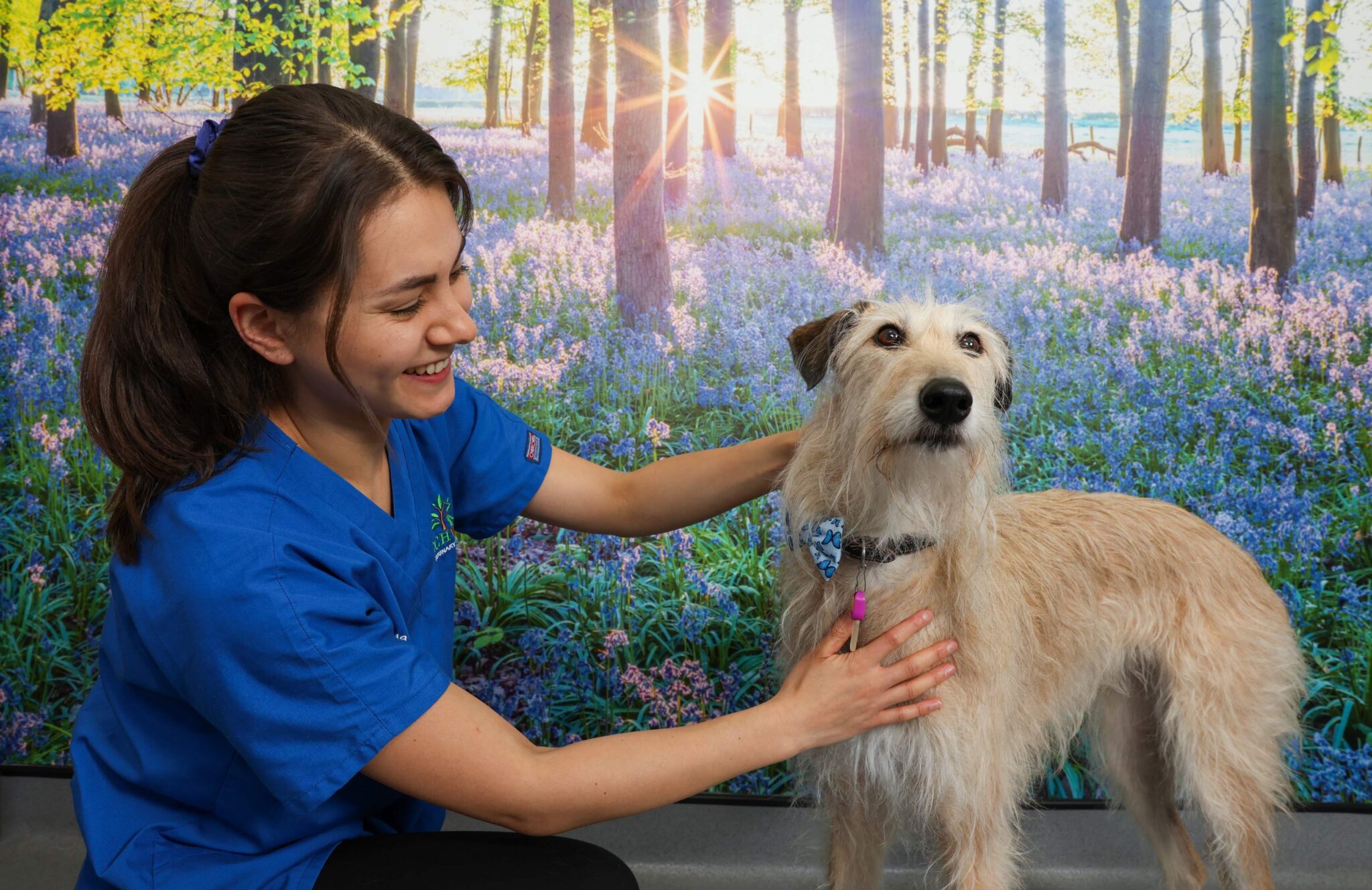 New grad Alice is loving practice life - VetPartners UK