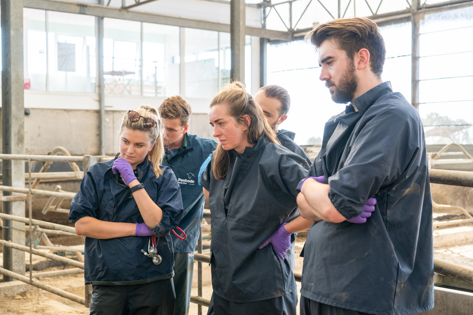 Your Career | VetPartners