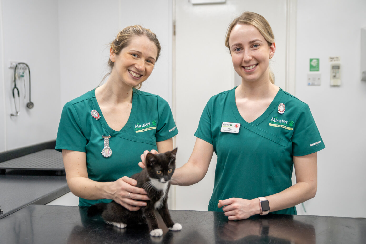 Our Veterinary Services | VetPartners