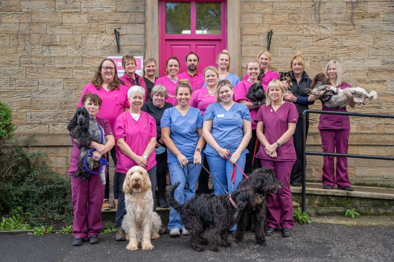 Our Veterinary Services | VetPartners