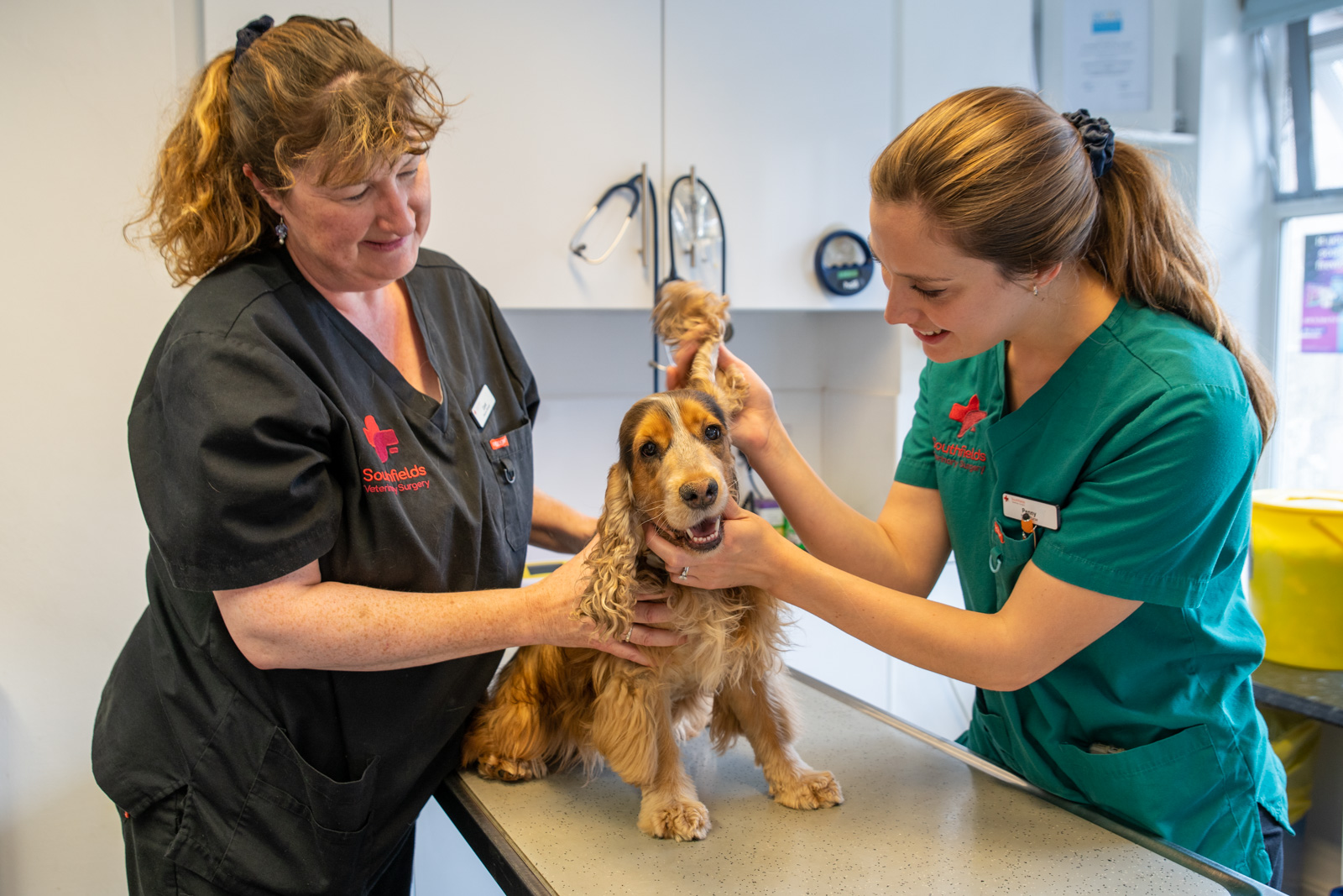 Our Pet Services | VetPartners