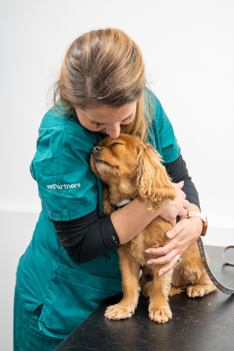 VetPartners | Founded by Vets. For Vets.