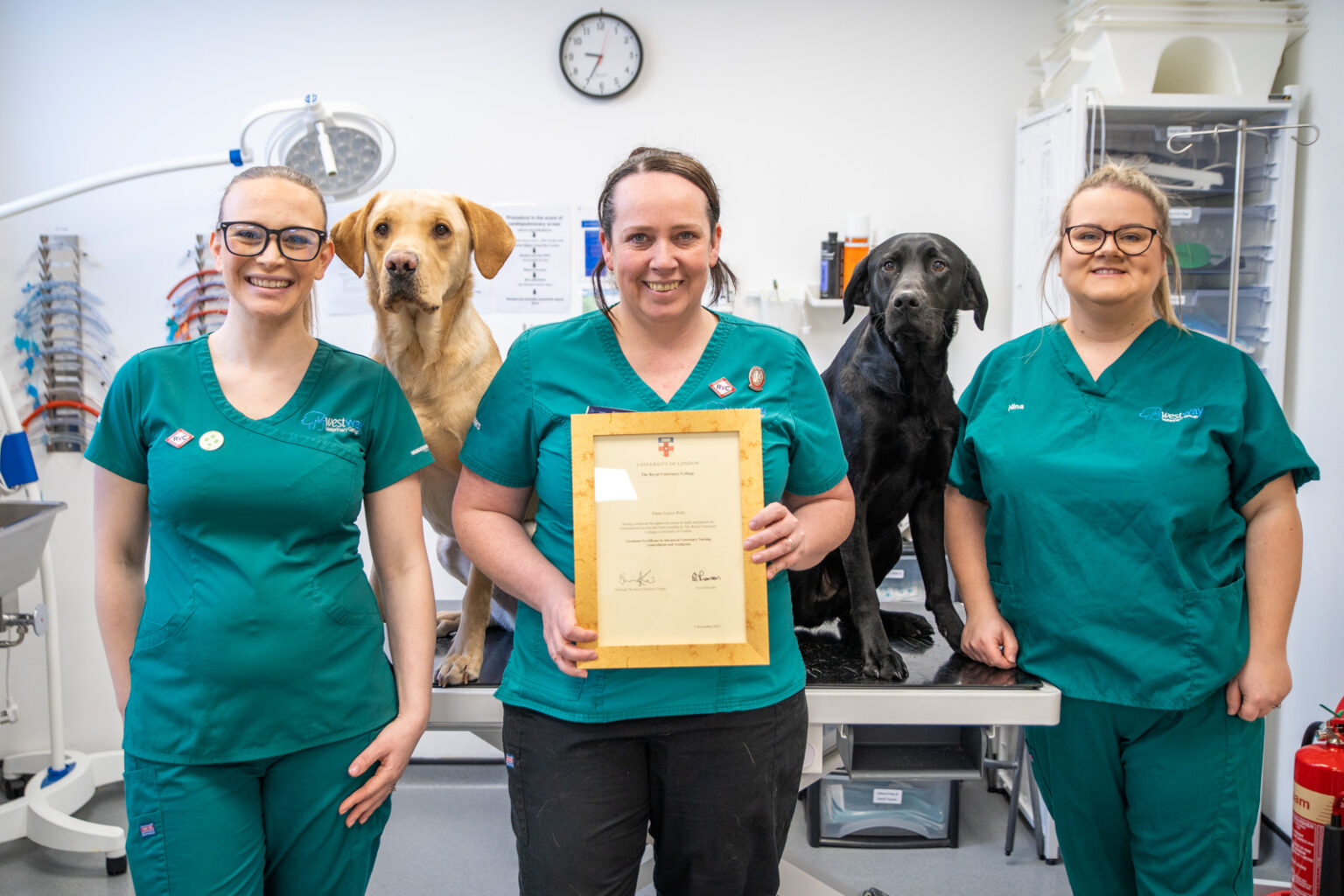 Your Career | VetPartners