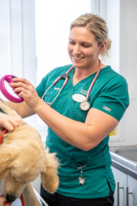 Our Pet Services | VetPartners