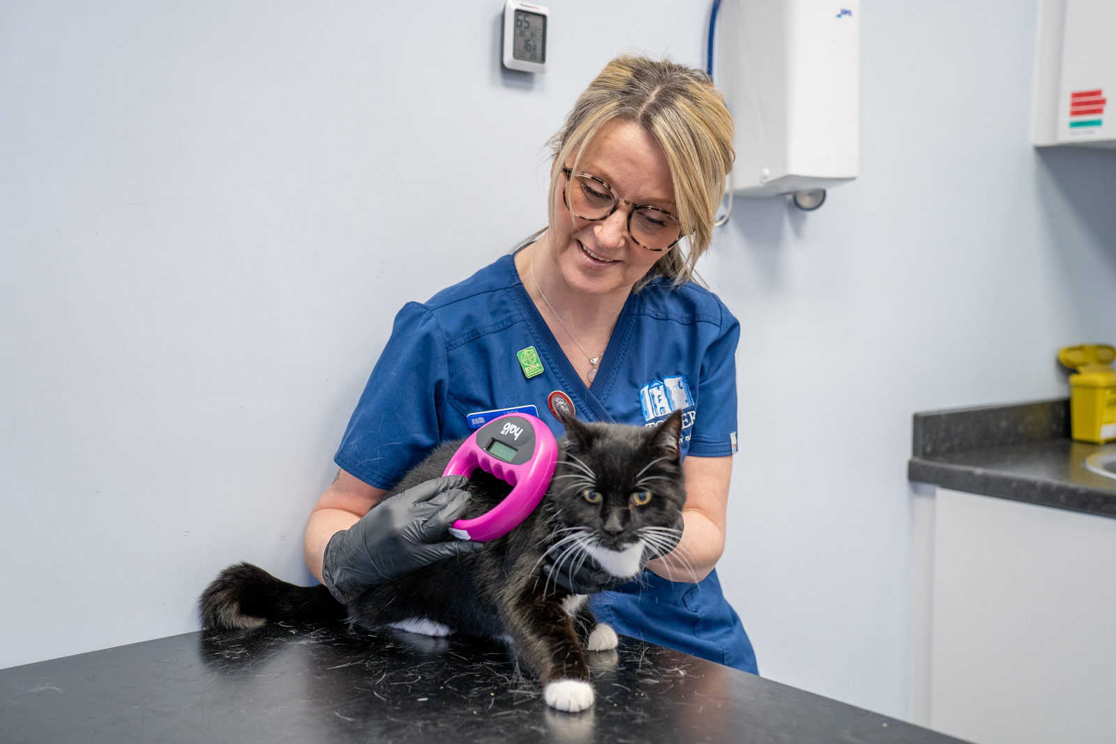 The Complete Guide to Microchipping Your Cat or Kitten | VetPartners