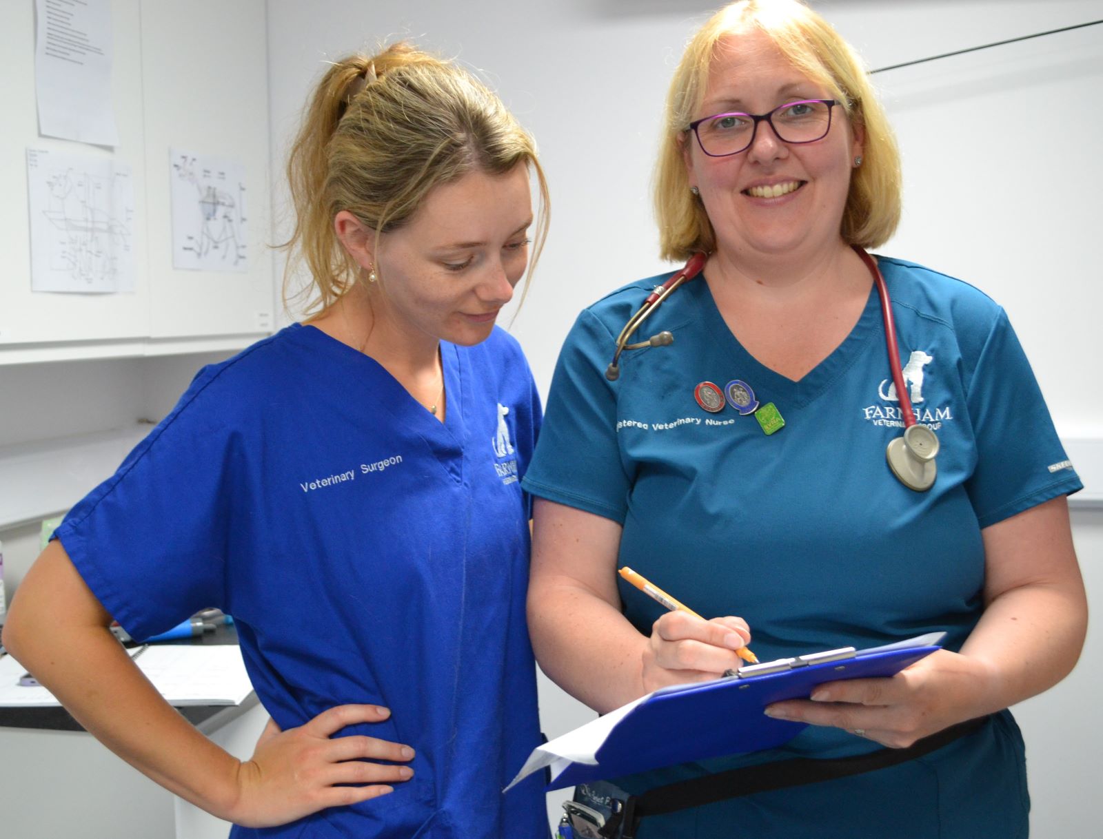 Helen has sights set on greater recognition for veterinary nurses ...