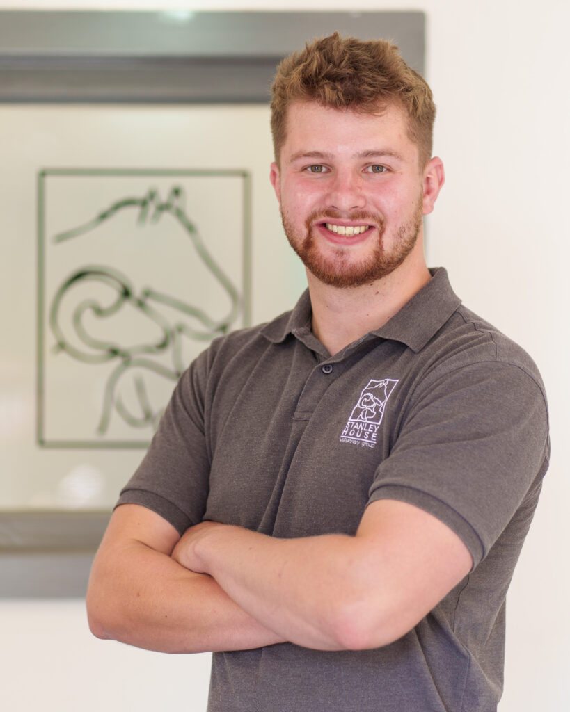 New grad Ben is thriving in his first role - VetPartners UK