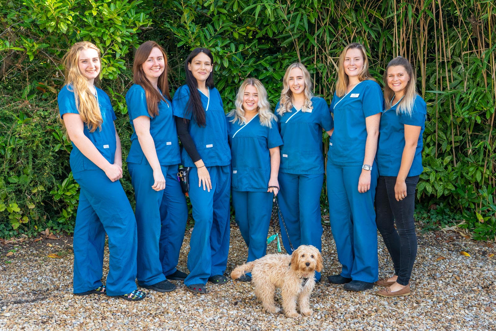 Meet the Team | VetPartners