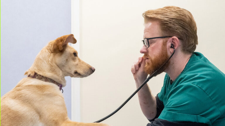 VetPartners | Founded by Vets. For Vets.