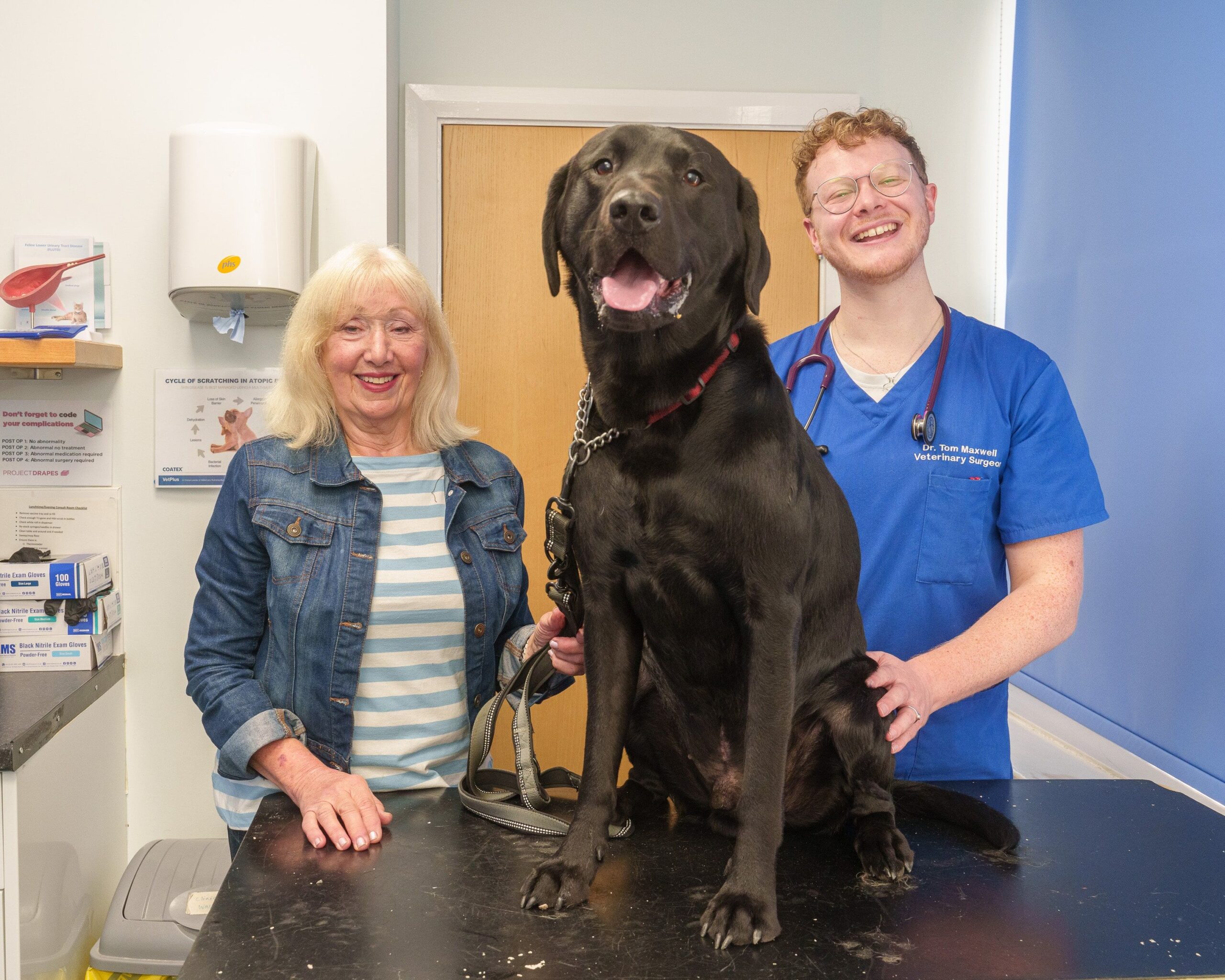 Labrador has lifesaving surgery twice at Tameside Veterinary Clinic ...