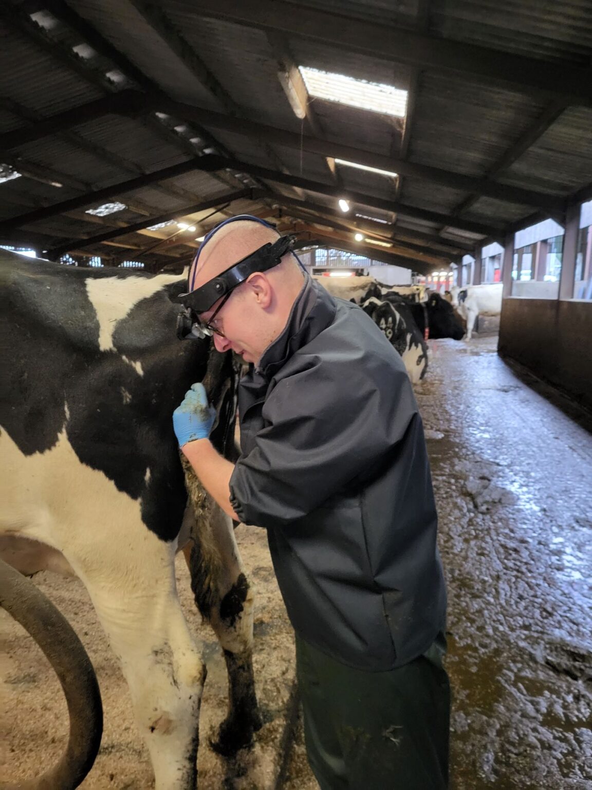 Our Farm Academy reaps rich harvest of new farm vets - VetPartners UK