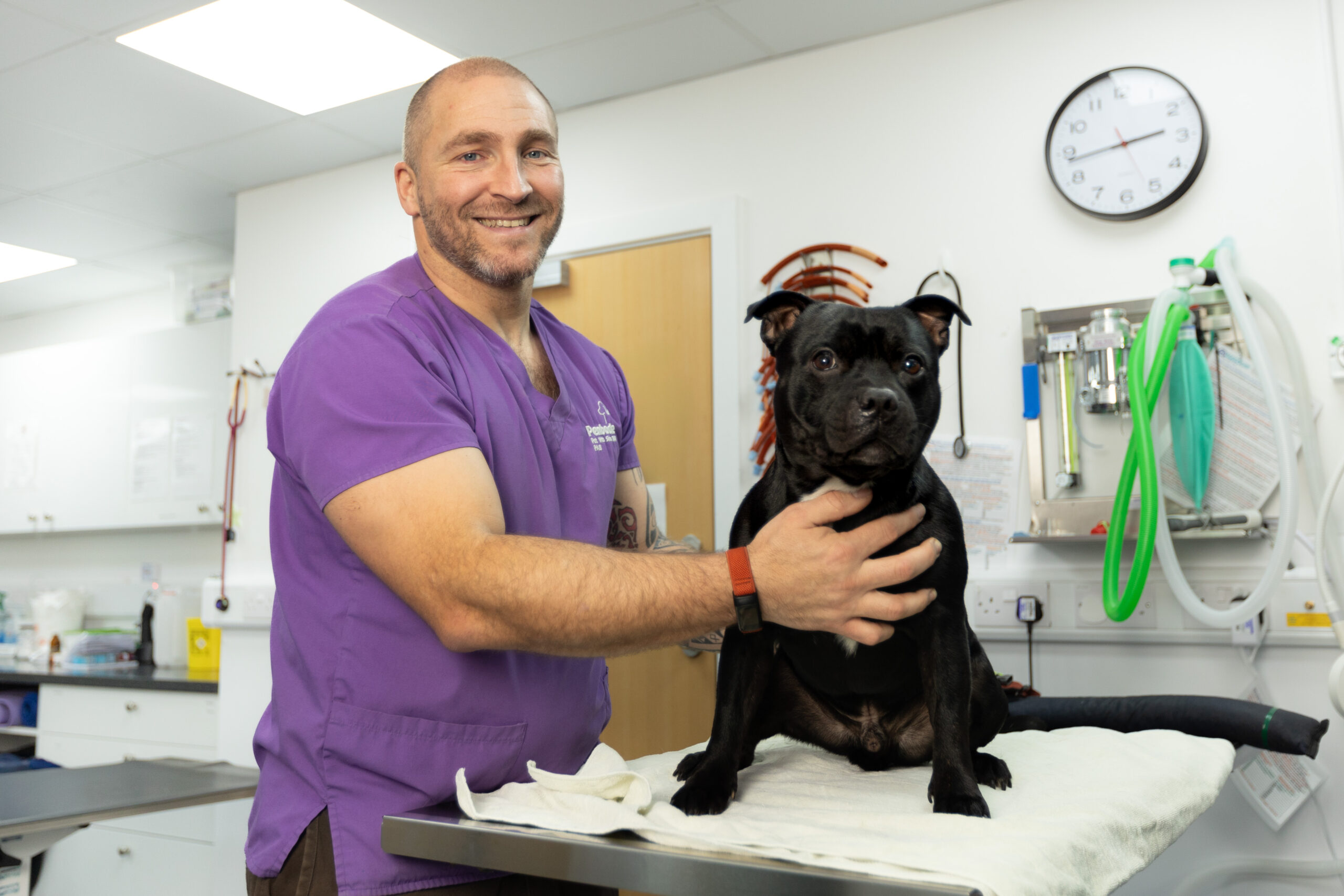 A career built on a passion for the veterinary profession - VetPartners UK