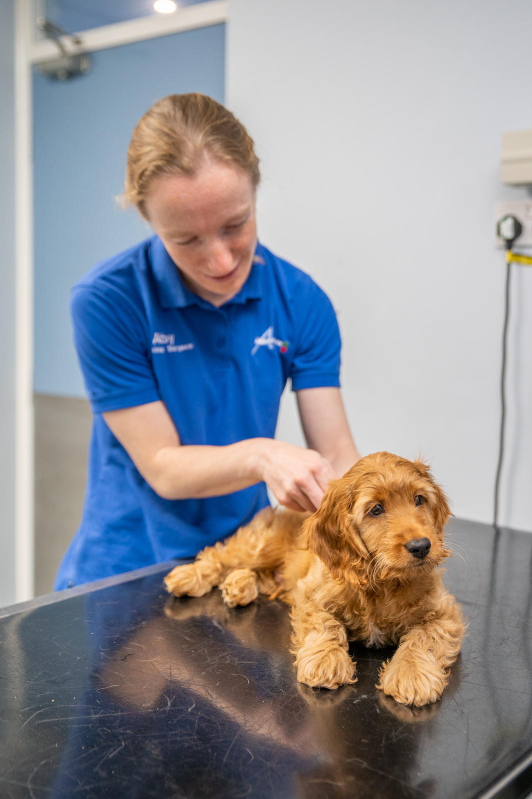 News & Insights | VetPartners UK