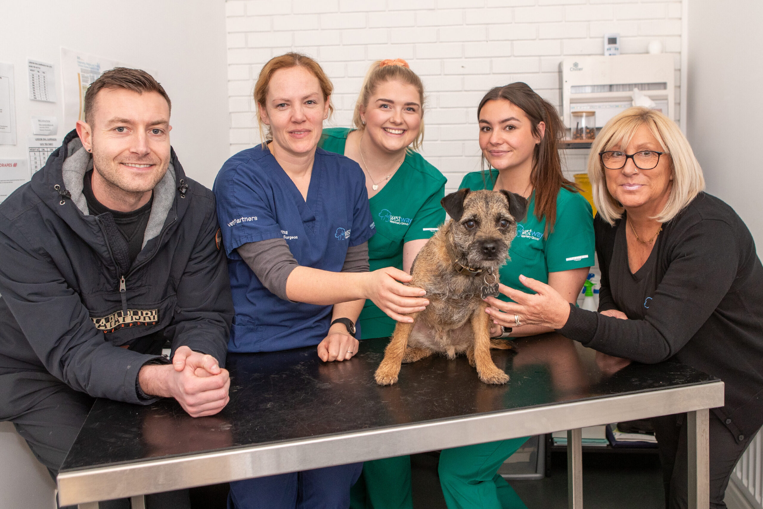 Vet warning after greedy Border Terrier nearly dies after stealing ...