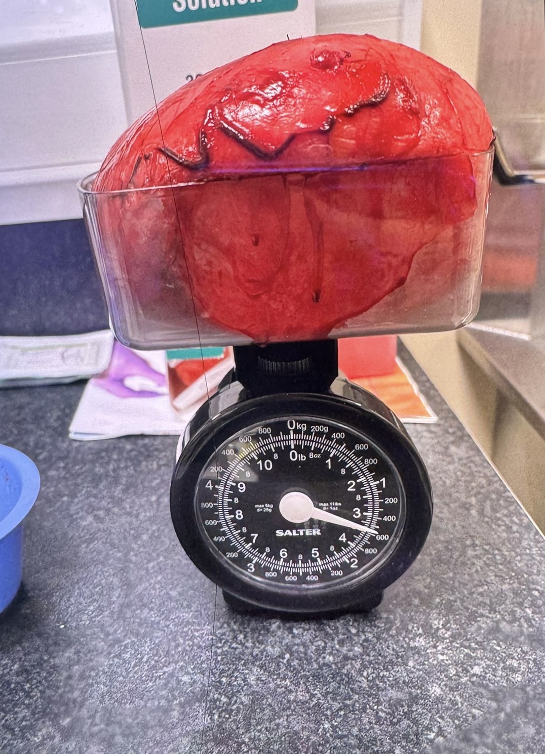 New lease of life for veteran pet after football-sized lump removed ...