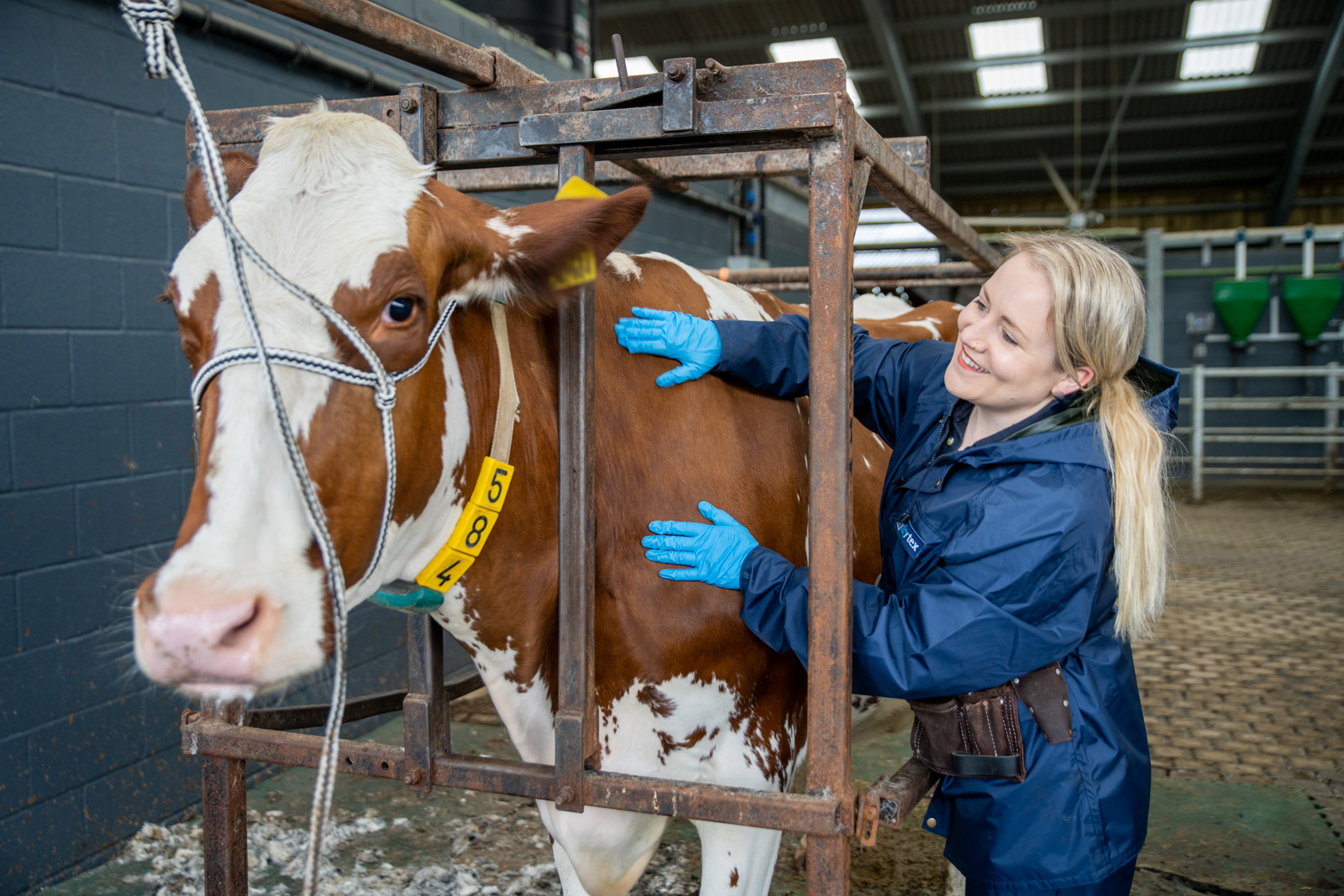 Our Veterinary Services | VetPartners