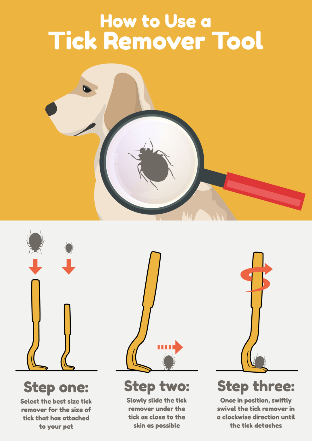 Ticks On Cats: A Complete Guide | VetPartners UK