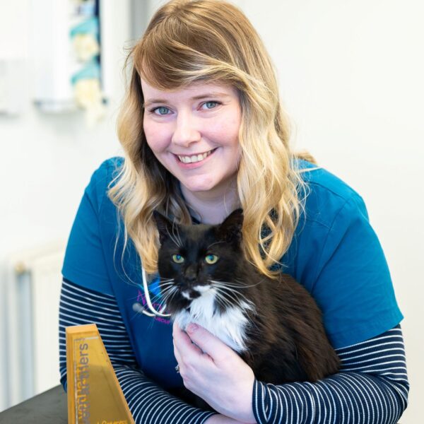 Our News | VetPartners