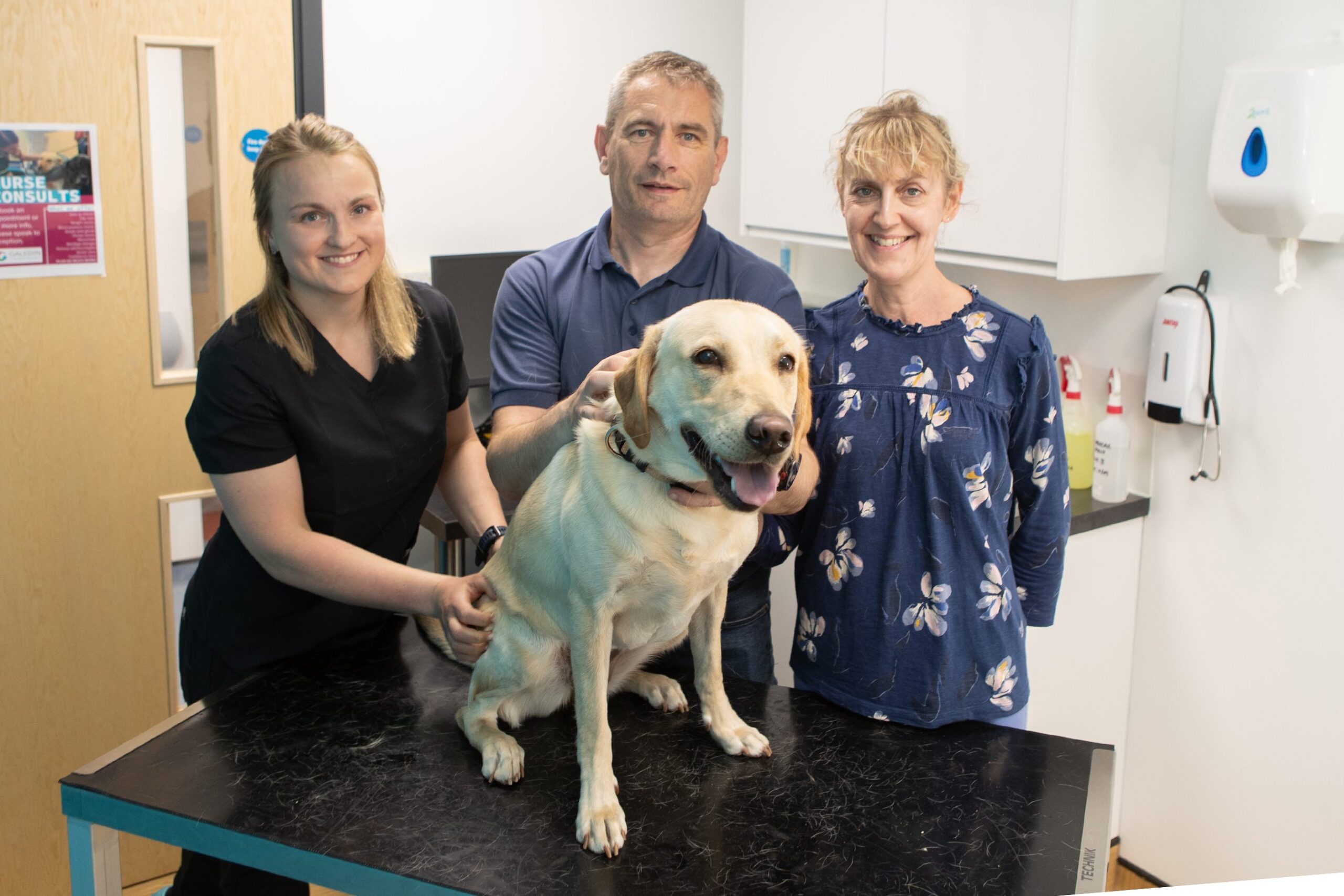 Duns vet practice issues warning after dog swallows a stone ...
