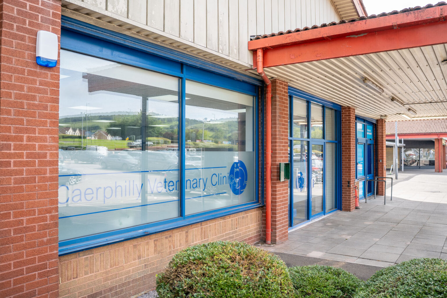 Boost for pets as South Wales vet practice opens new clinic ...