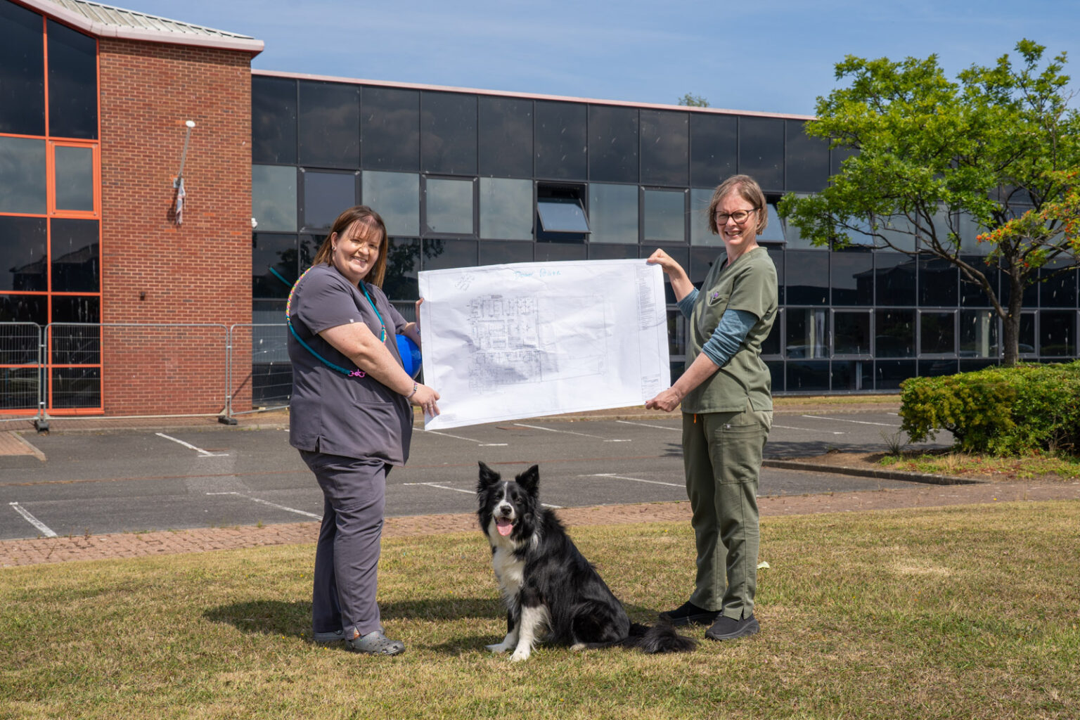 Boost for pets as Clifton Lodge Vets set to open new Hartlepool ...