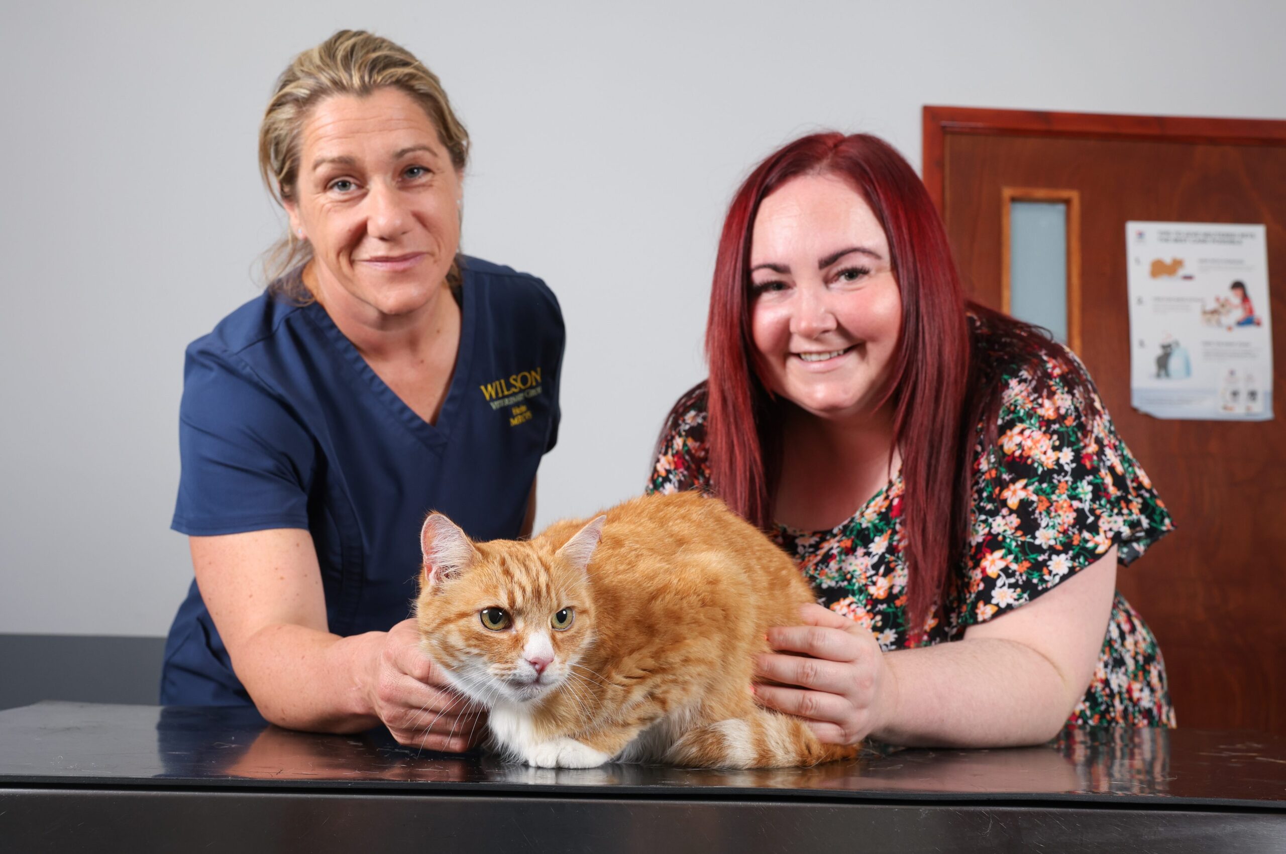 Garfield the cat makes amazing recovery after using up one of his nine ...