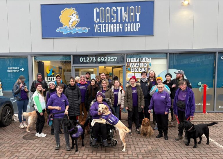 Caring colleagues give worthy causes 376,453 reasons to smile ...